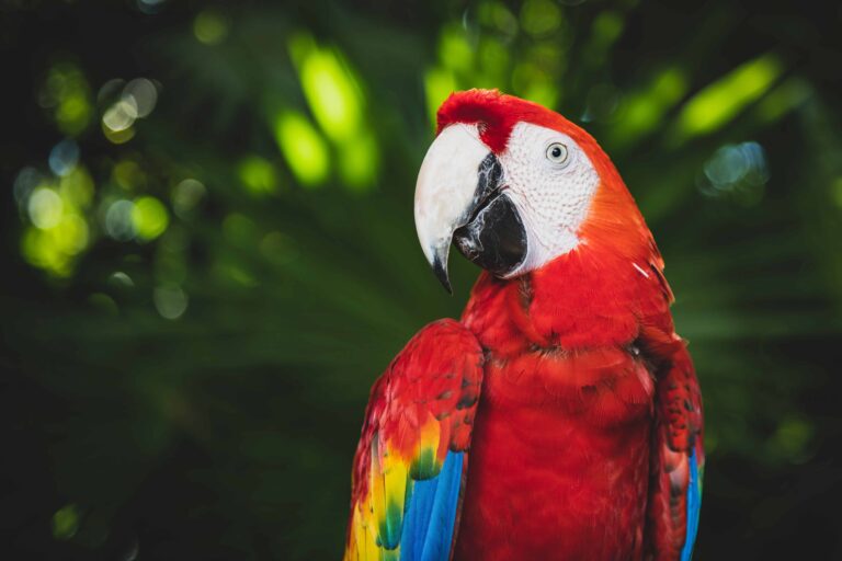 Top 10 Coolest Pets: Discover the Most Unique and Exotic Animals to Own ...